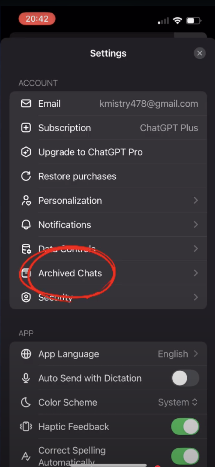 How To Access Archived Chats On ChatGPT? – roborealms.com