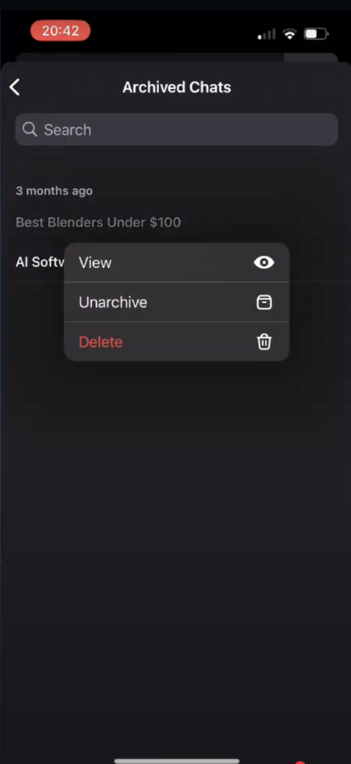 How To Access Archived Chats On ChatGPT? – roborealms.com